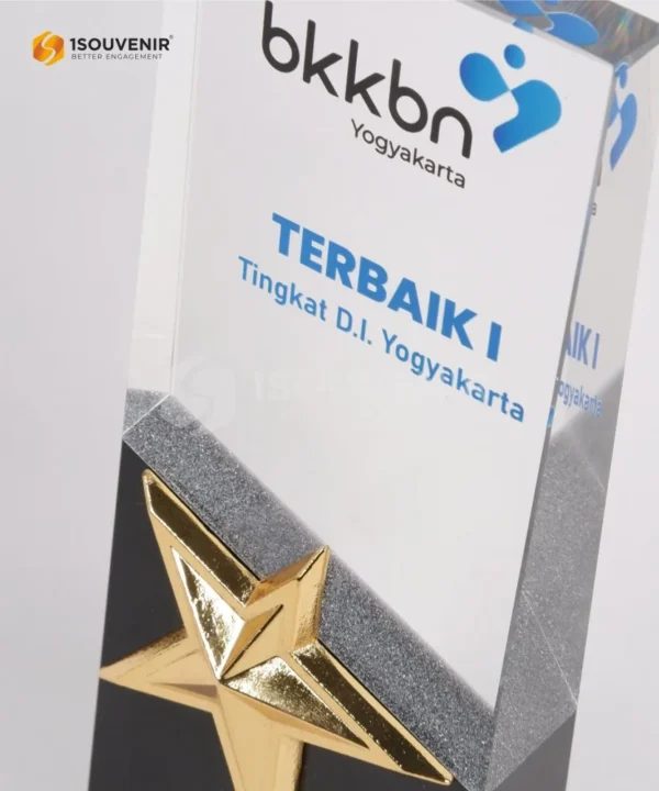 Trophy BKKBN Yogyakarta
